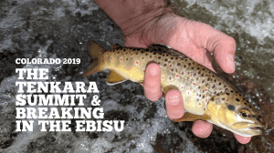 Colorado 2019: The Tenkara Summit & Breaking In The Ebisu | Troutrageous!