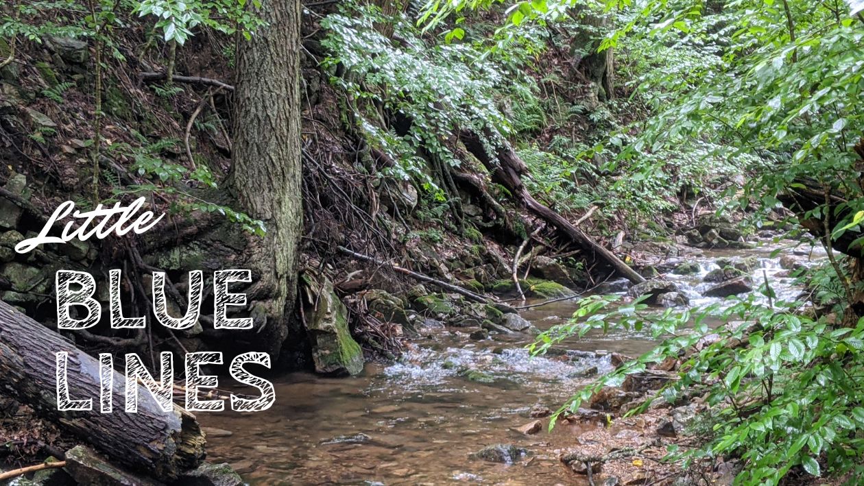 Little Blue Lines | Troutrageous!