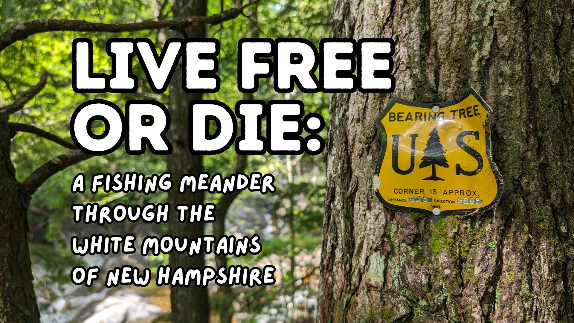 Live Free or Die | Troutrageous!